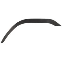 ACABAMENTO PARA-LAMA LE CABINE FH 2004 ATÉ 2014